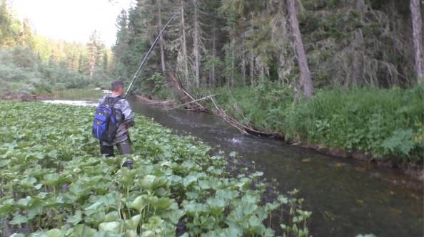 Жизнь ОТШЕЛЬНИКА в ДЕВСТВЕННОЙ ТАЙГЕ 2023 Даугли 6 Рыбалка Охота Поход Медведь Один в Лесу у реки