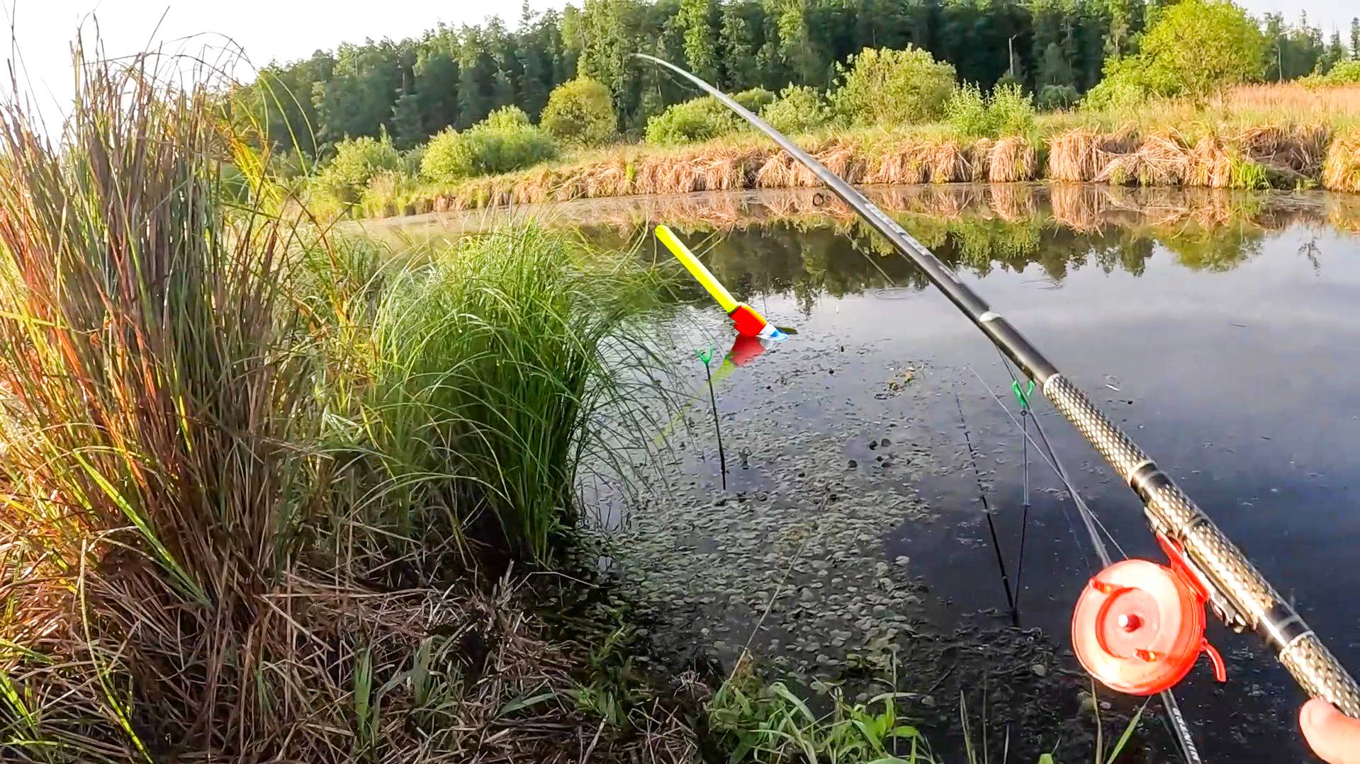 НАШЛИ КАНАВУ с КАРАСЁМ, КИНУЛ в ТРАВУ поплавок УТАЩИЛО. Рыбалка в 2025