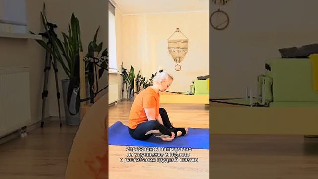 Грудной отдел