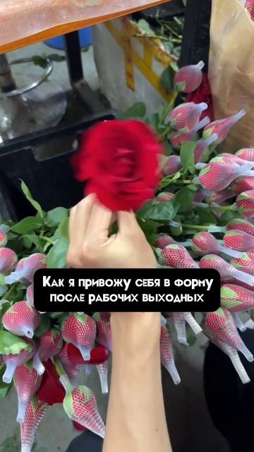 Приводим себя в форму.mp4