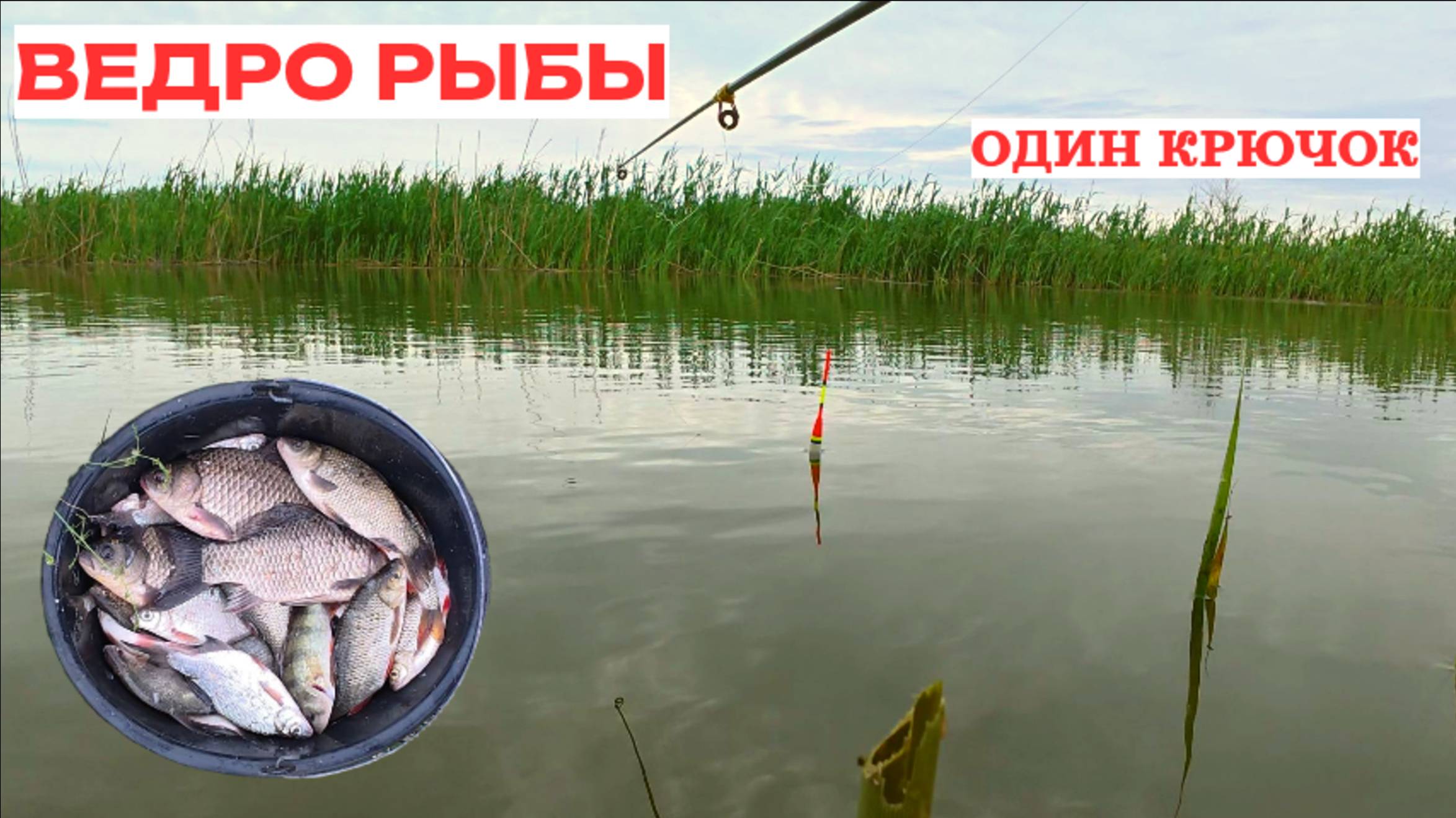 ЛОВЛЯ НА ПОПЛАВОК В МЕТРЕ ОТ БЕРЕГА!РЫБАЛКА НА КАРАСЯ!РЕЛАКС ДА И ТОЛЬКО))