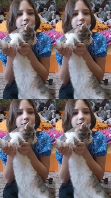Масёна танцует под Бобра!🤣🤣🤣🎵🎵🎵🎶🎶🎶 #Танец #ПервыйтанецотМаси#Танцы#shorts