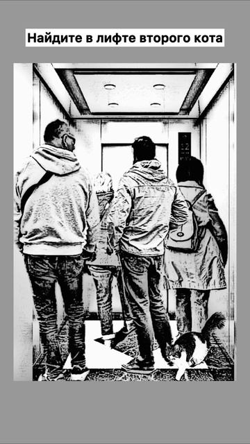 Тест  на умение замечать малозаметное: найдите в лифте второго кота