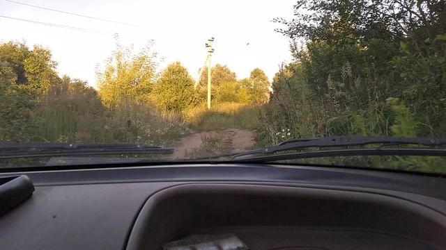 Калина на бездорожье