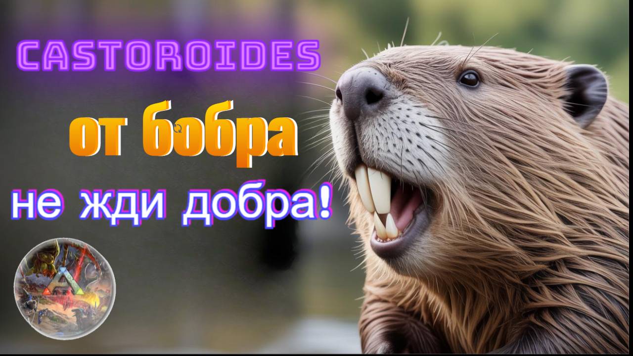 Арк