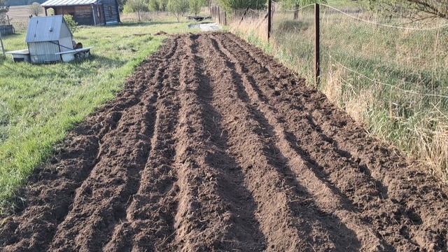 Посадил🫠картошку