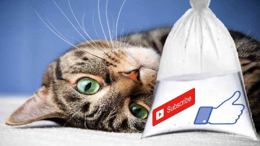 Водо-антистресс с картинками из пакета!