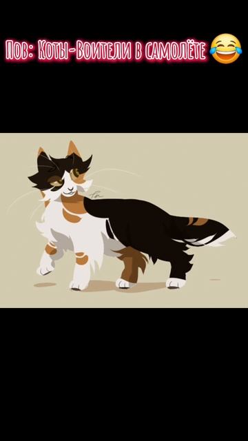 Пов: Коты-Воители в самолёте 😂