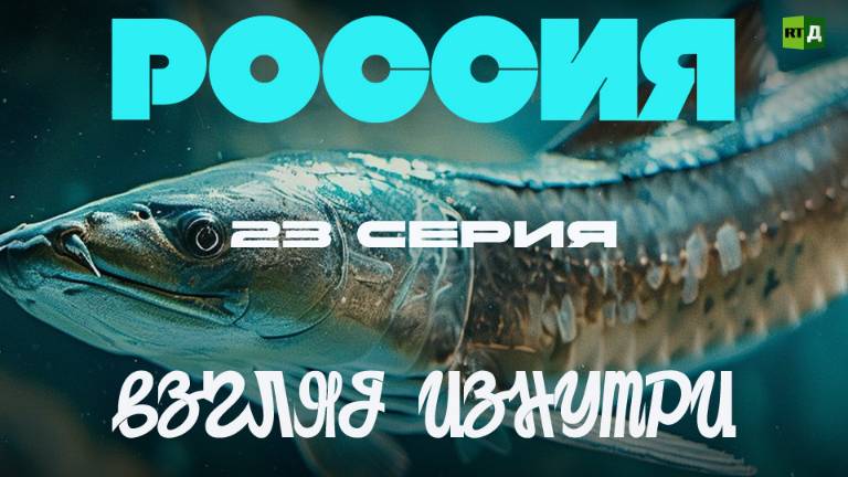 Россия Взгляд Изнутри. Серия 23