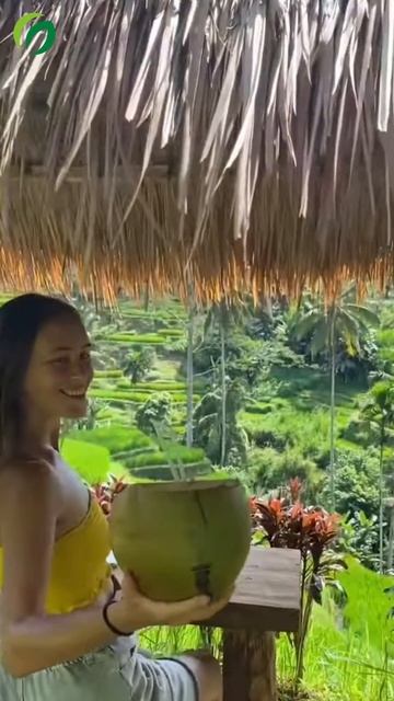 Чем кокосовая вода отличается от кокосового молока? | "Вкусы Азии" в Слате