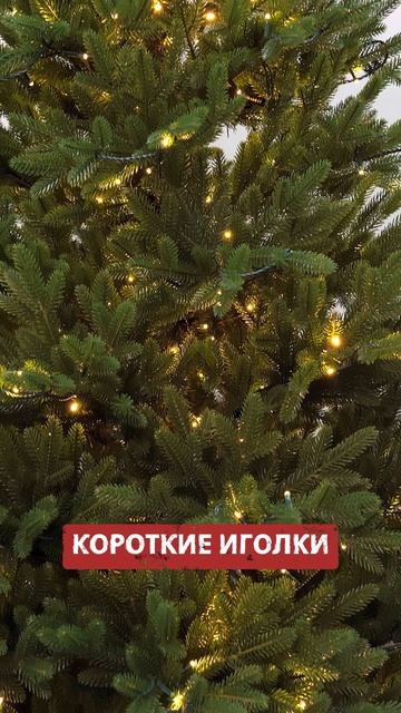 Персея зелёная (с гирляндой)_1