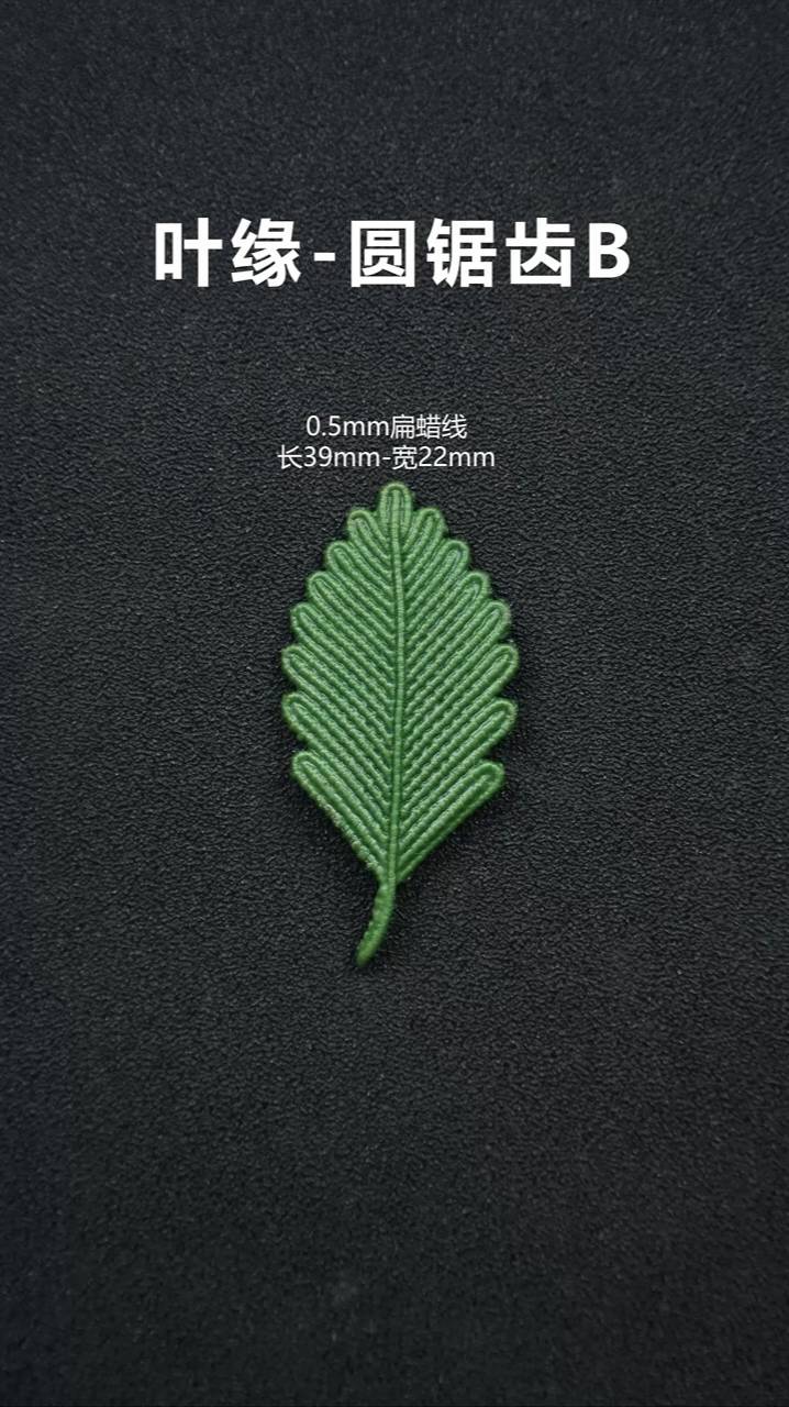 叶缘圆锯齿B，植物编绳，花花草草