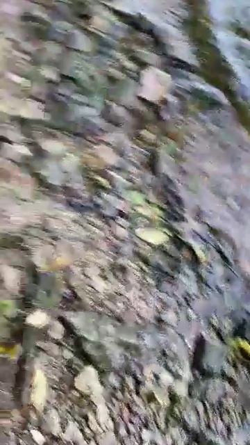 Отлично! рыба есть 👍