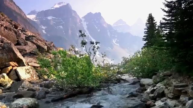 🐦 Звуки природы 🏞 Горная река 🎶 Музыка для медитации 🧘♀️