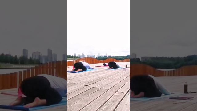 Йога в парке