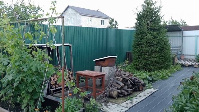 Съездили в гости, попали под ливень - замечательно провели субботний день!