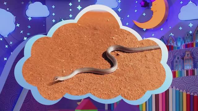 ✨Спокойной ночи, малыши✨089/2025 Ушастый родственник