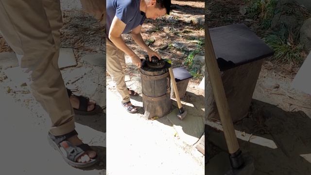 Сувенирные монеты сделанные в дендрарии Сочи.