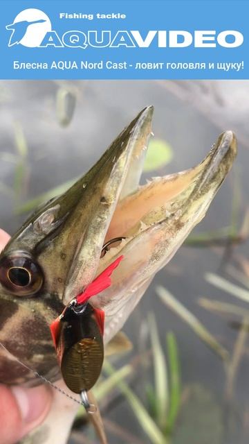 Блесна AQUA Nord Cast - ловит головля и щуку!