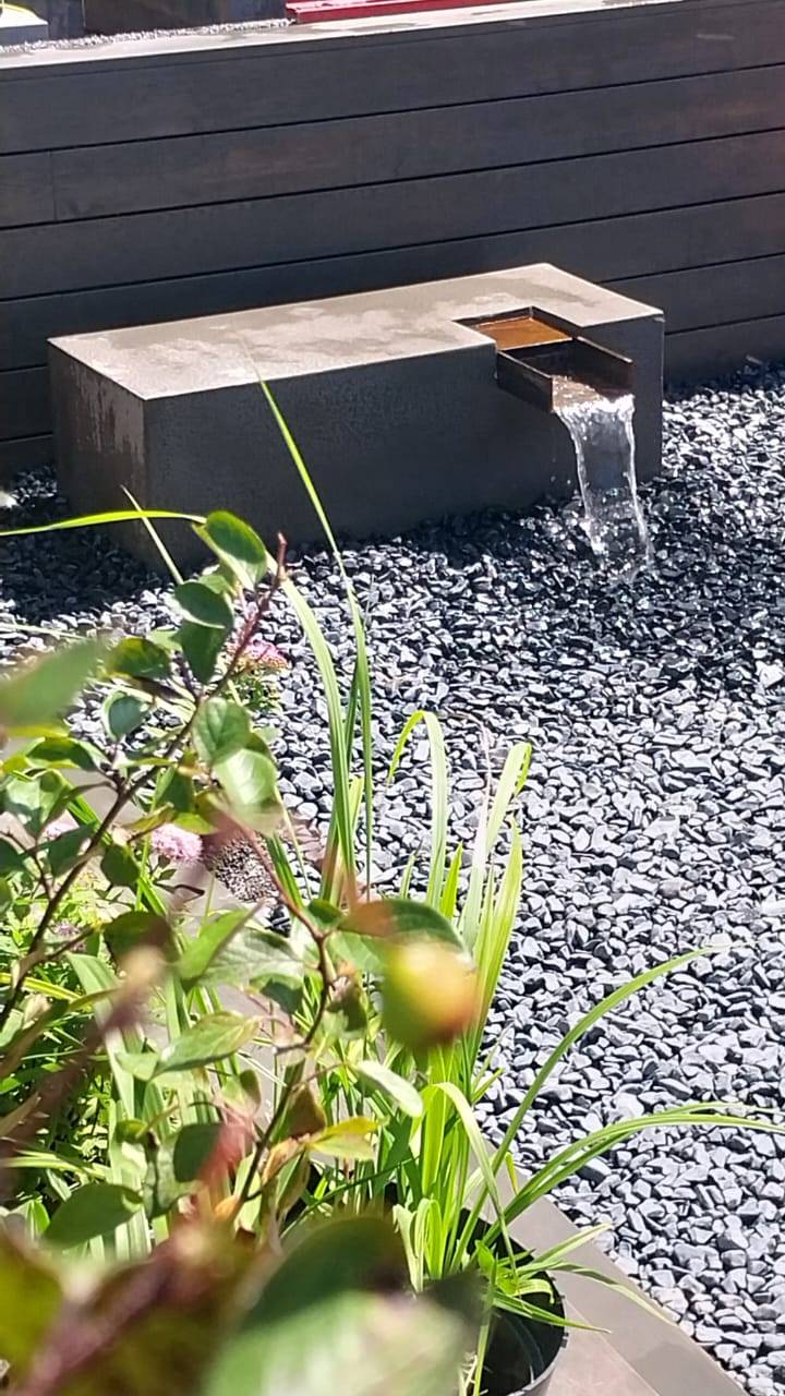 БКВ-излив в выставочном саду Open Village.2025