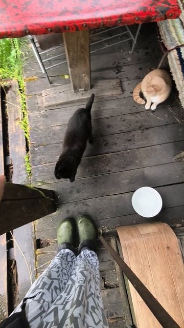 Макс играет