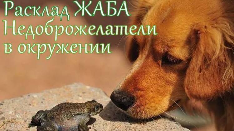 🐸 Расклад "Жаба" помогает выявить недоброжелателей в окружении. 
Ищем "жабу" в 3х вариантах.