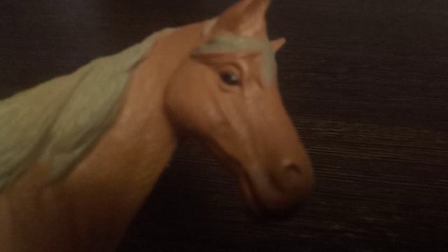 конкурс начался.