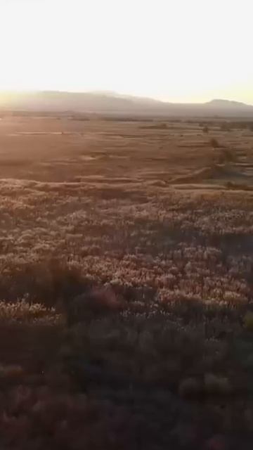 "Летят журавли" песня на СТИХИ ОТЦА