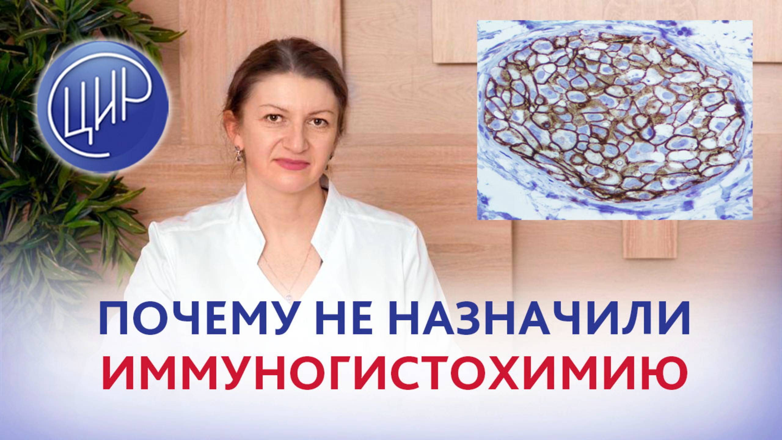 Иммуногистохимия. Прочему врачи не назначили иммуногистохимию.
