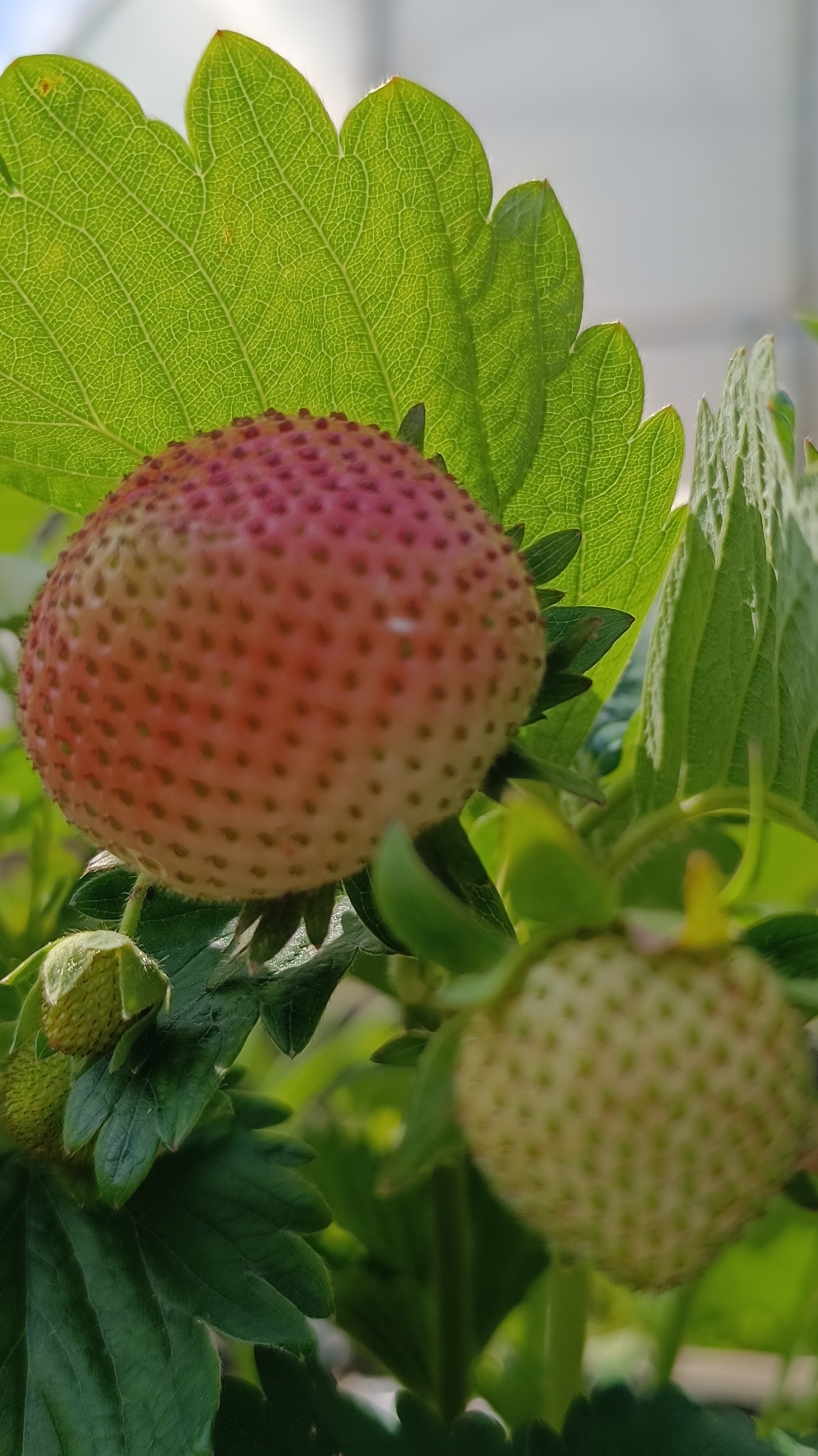 Из архива. Начало июня.