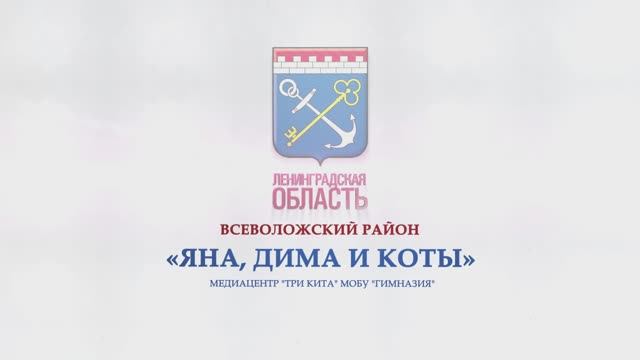 ЯНА, ДИМА И КОТЫ