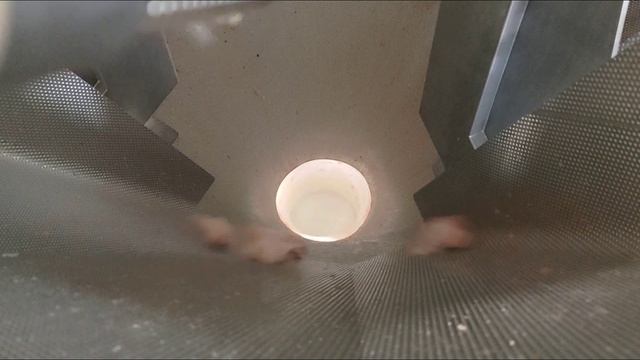 Дозирование куриной разделки (филе голени) в термоформер