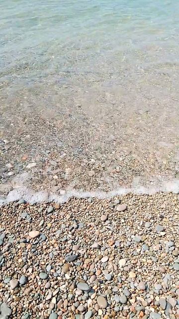 Начало сезона. Крым. ЮБК. Гаспра. 12.06.2025г.