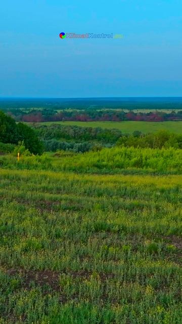 Летний вечер
