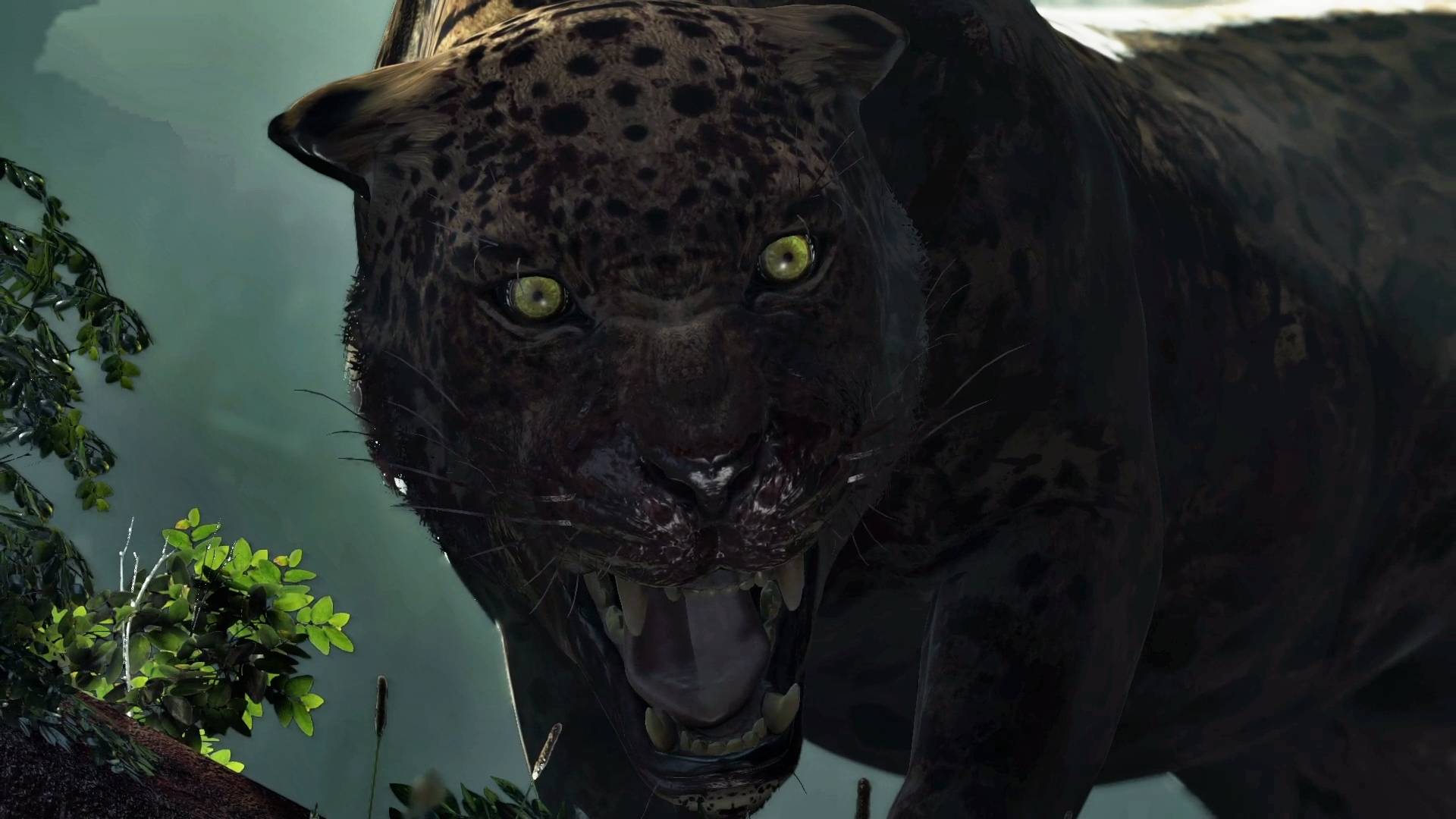 Две кошки / 3 / Shadow of the Tomb Raider - Definitive Edition