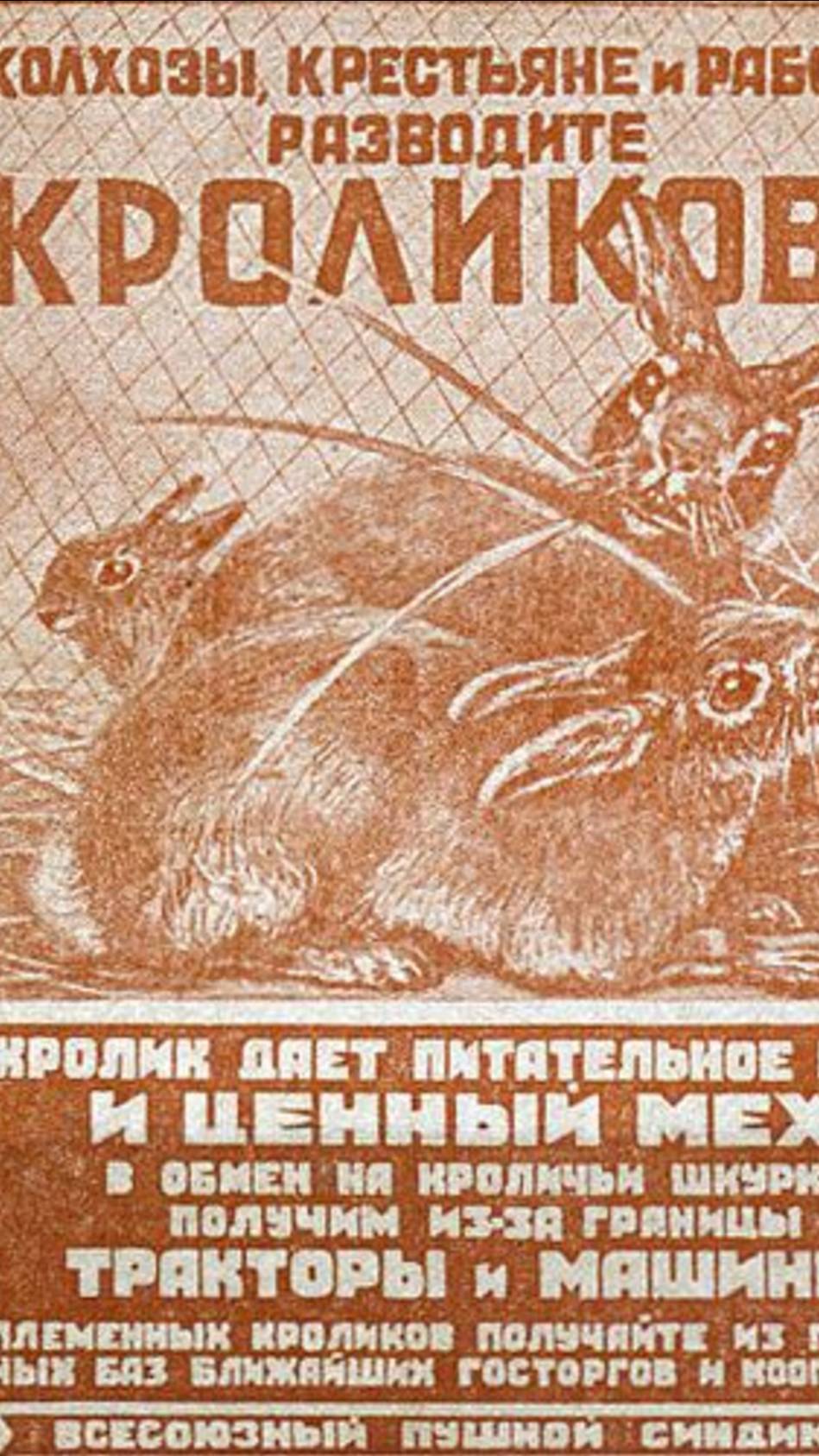 Деда Витя кроликов " разводит".