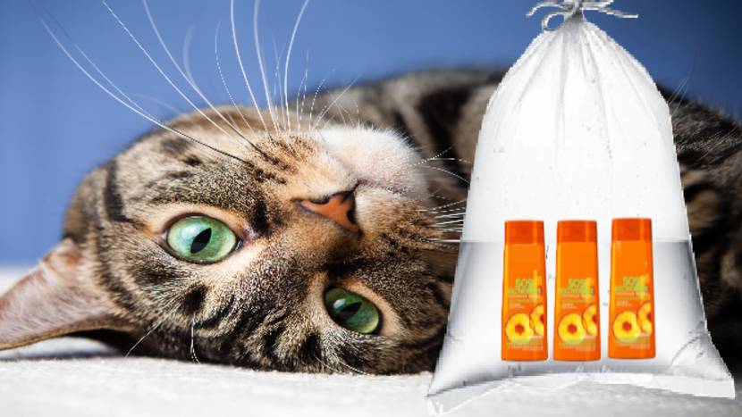 Водо-антистресс из пакета с шампунями!