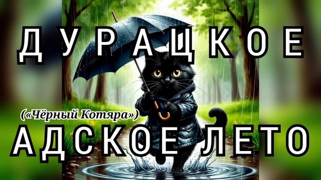 Дурацкое адское лето («Чёрный Котяра»)