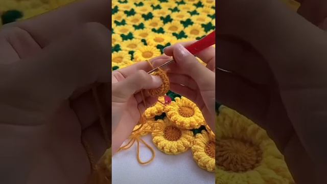 Подсолнух крючком