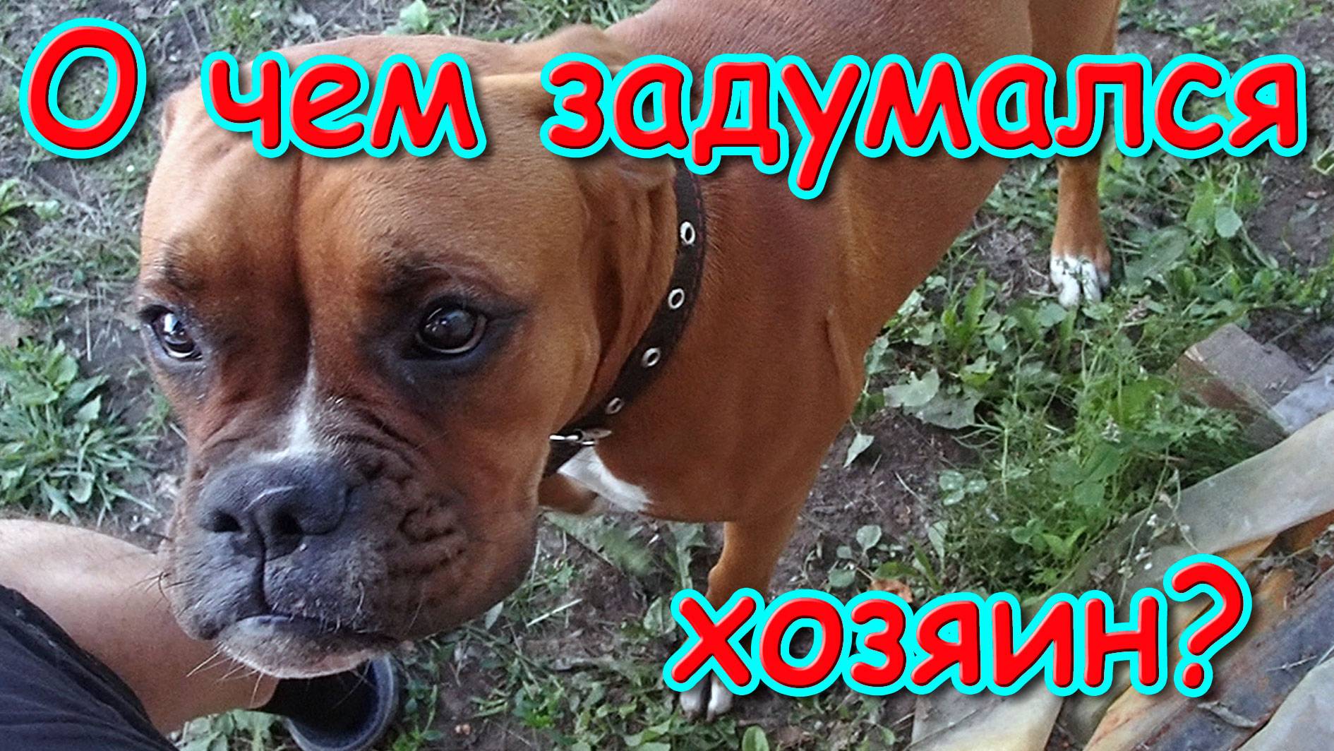 Планы на день. Решение вопросов в городе. Установка кондиционера. (07.25г.) Семья Бровченко