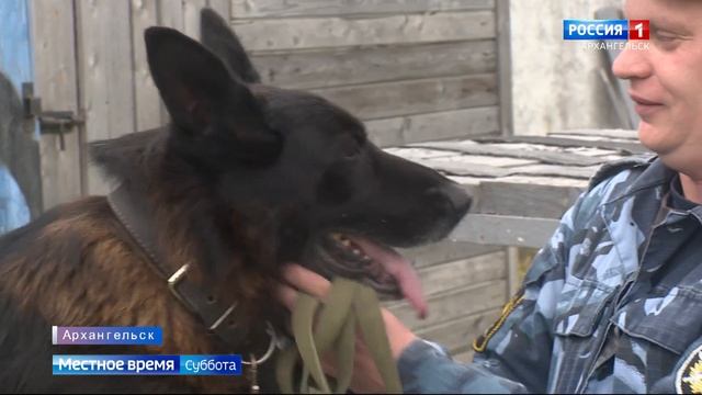 Вести Поморья_Россия 1_Служебные собаки УФСИН выходят на пенсию