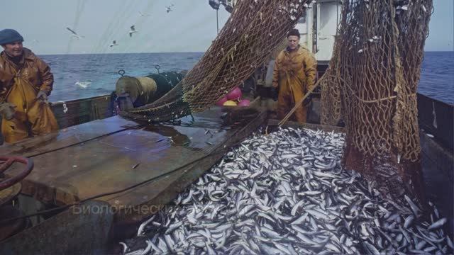 § 8 "Ресурсы Мирового океана", География 10 класса, Полярная звезда