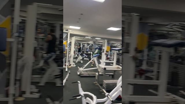 Гатчина "RECORD"