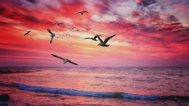 Я НАРИСУЮ МОРЕ