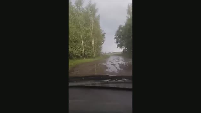 Outlander XL по бездорожью ягодки!!! Дождливое лето 2025.