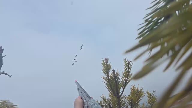 Последний день охоты добыли гусей и трудный выход из болота.