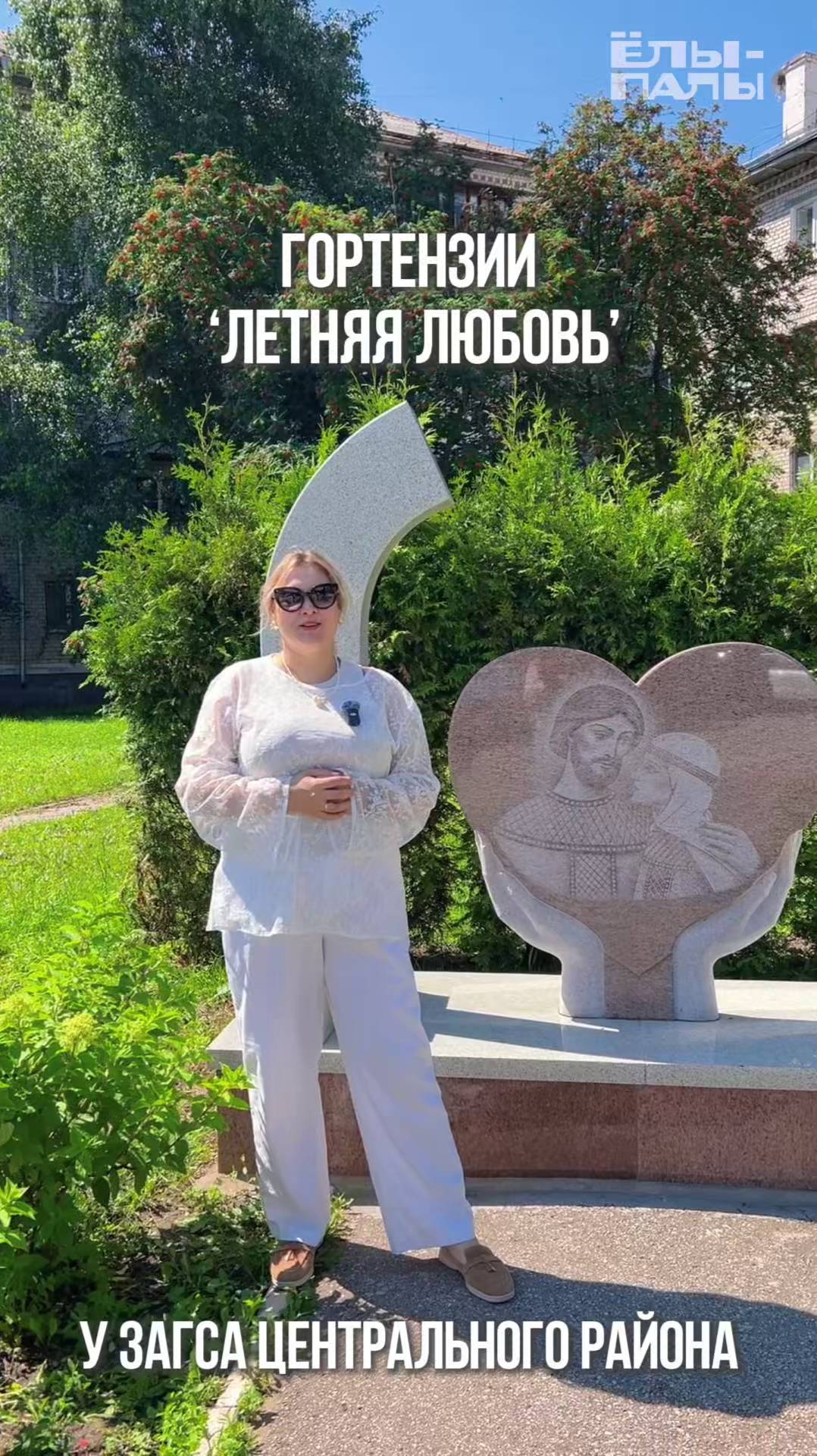 Гортензия "Летняя любовь" у ЗАГСа Центрального района Тольятти.