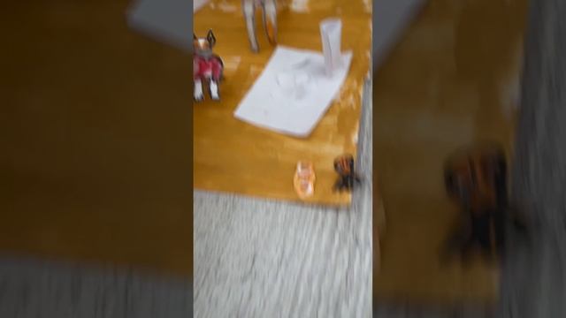 Распаковка посылок для бумажных собак Wildberis