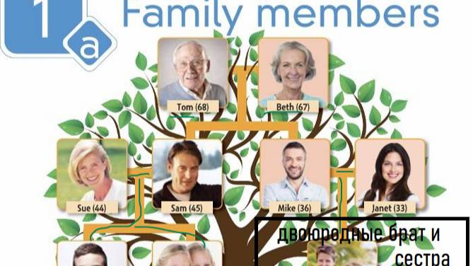 Spotlight 6, mod 1a, упр.1 стр.6