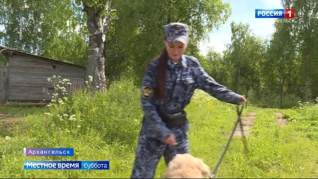 Вести Поморья_Россия 1_День кинолога_Кинологическая служба ИК-7 УФСИН Поморья